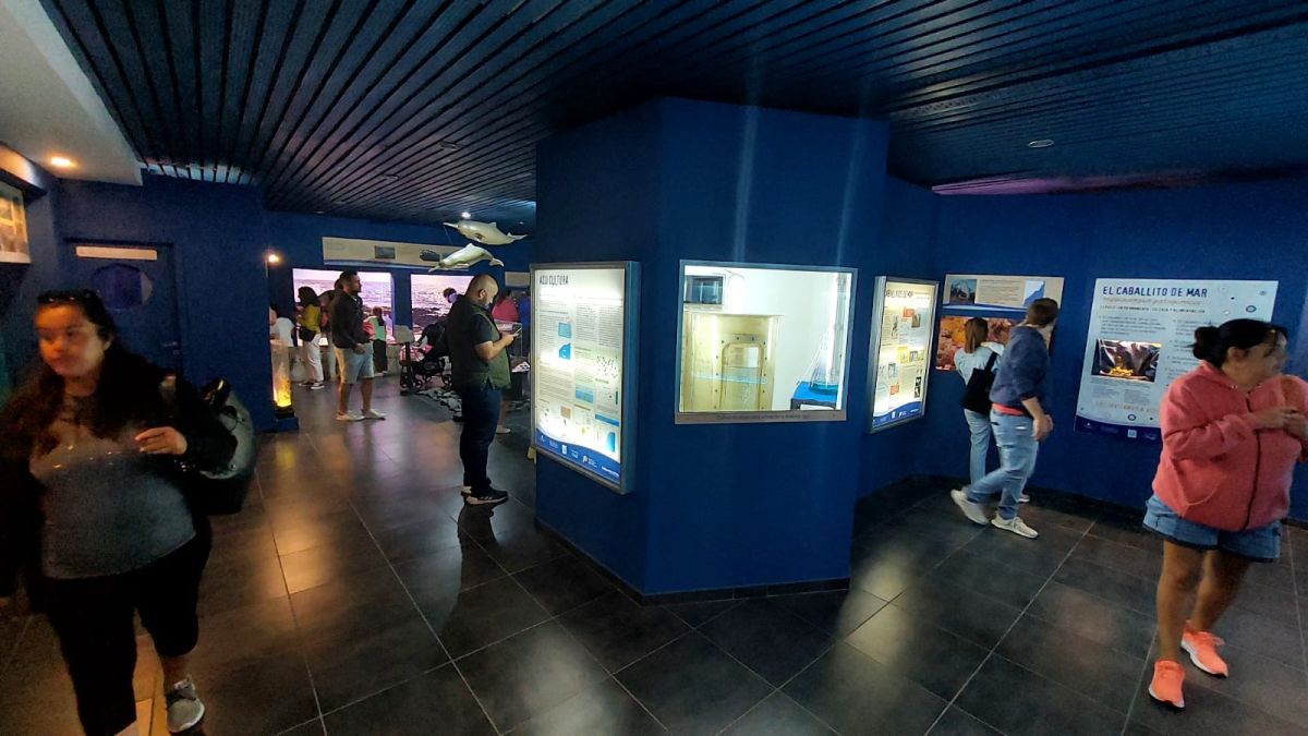 Imperdible recorrida del Museo Scaglia | Infobrisas | Noticias de Mar ...