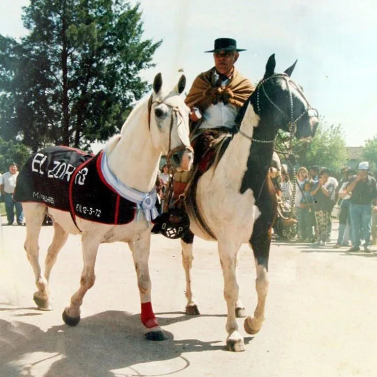 El Zorro: la leyenda del caballo indomable | Infobrisas | Noticias de ...