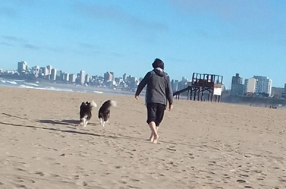 Después del temporal, ¿cómo estará el tiempo en Mar del Plata esta semana? | Infobrisas ...